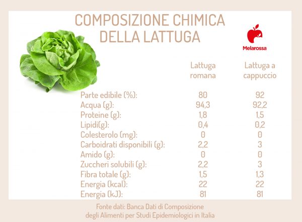 Lattuga: che cos’è, varietà e tipologie, valori nutrizionali, benefici ...