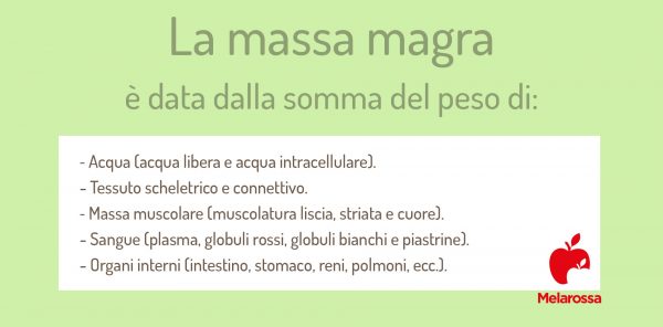 Massa magra: cos’è, come calcolarla, valori ideali, alimenti e menù