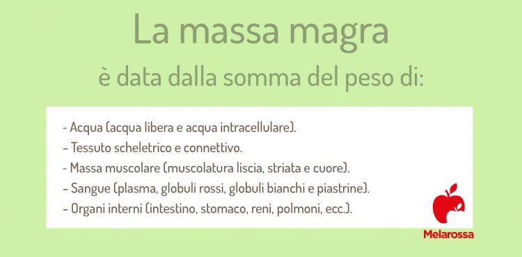 Massa magra: cos’è, come calcolarla, valori ideali, alimenti e menù