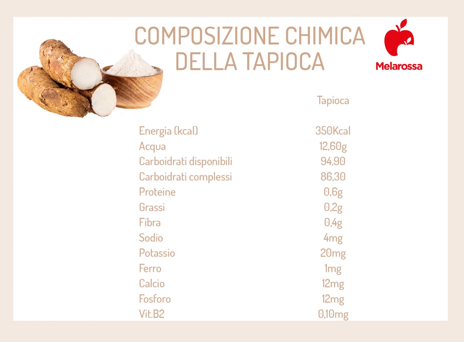 Tapioca: che cos'è, proprietà, benefici e usi della farina di manioca