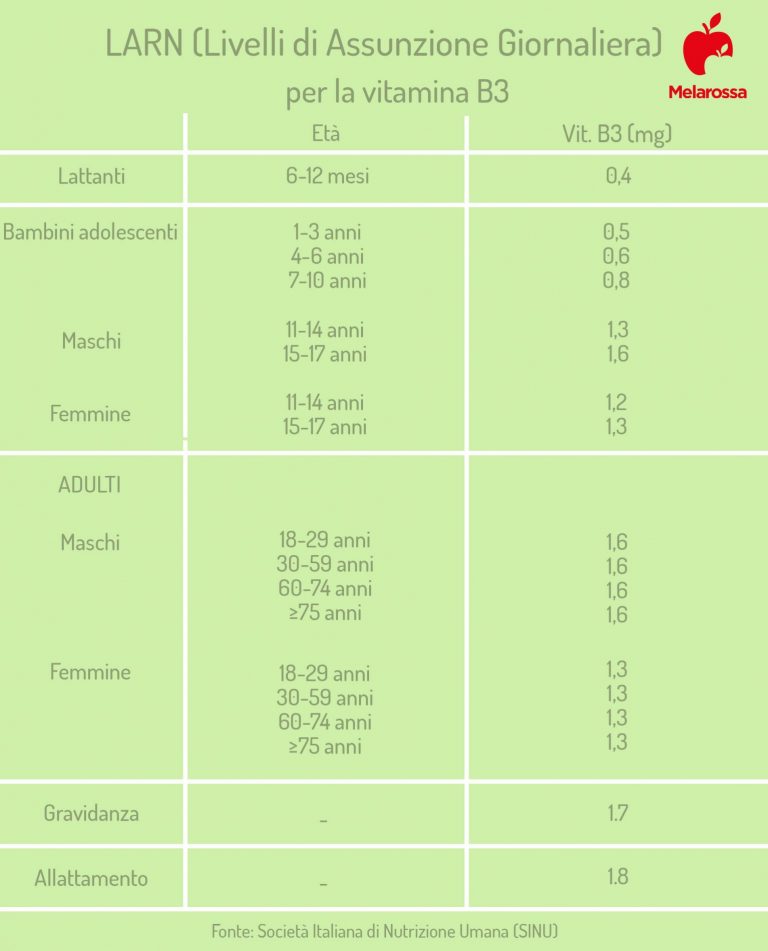 Vitamina B3 (niacina): proprietà, a cosa serve e dove si trova