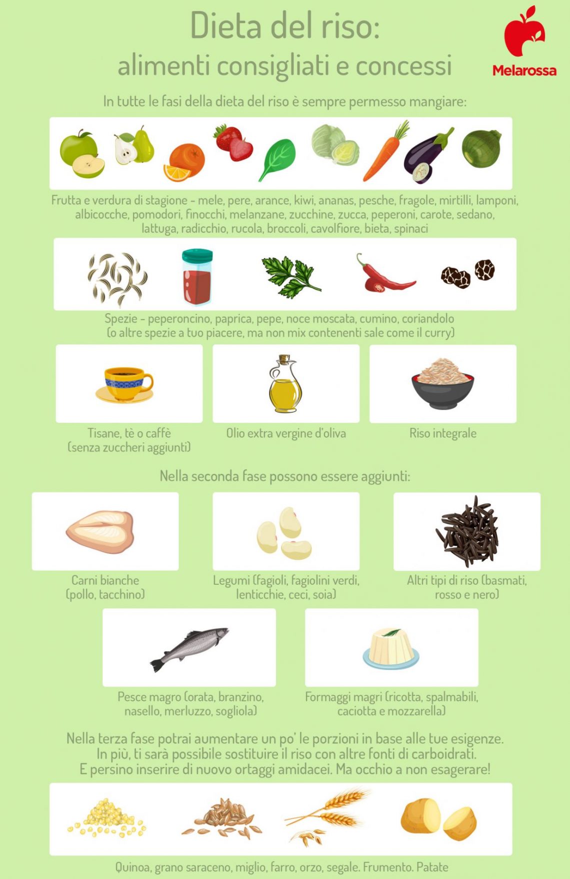 Dieta del riso: che cos'è, come funziona, menù, controindicazioni