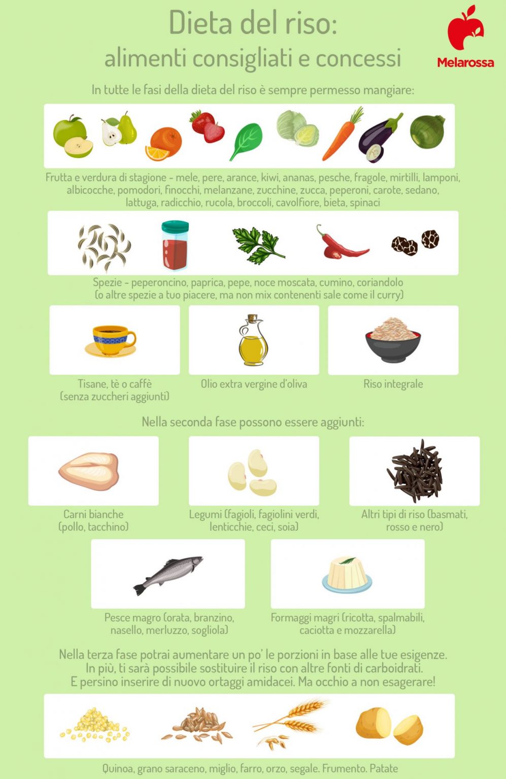 Dieta del riso: che cos'è, come funziona, menù, controindicazioni