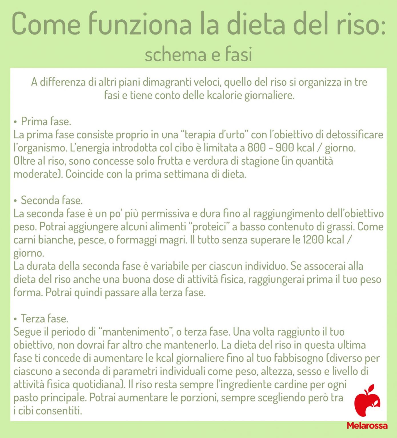 Dieta del riso: che cos'è, come funziona, menù, controindicazioni