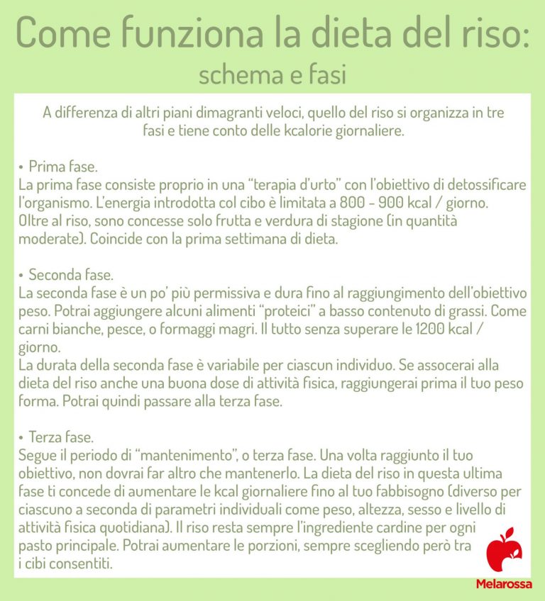 Dieta del riso: che cos'è, come funziona, menù, controindicazioni