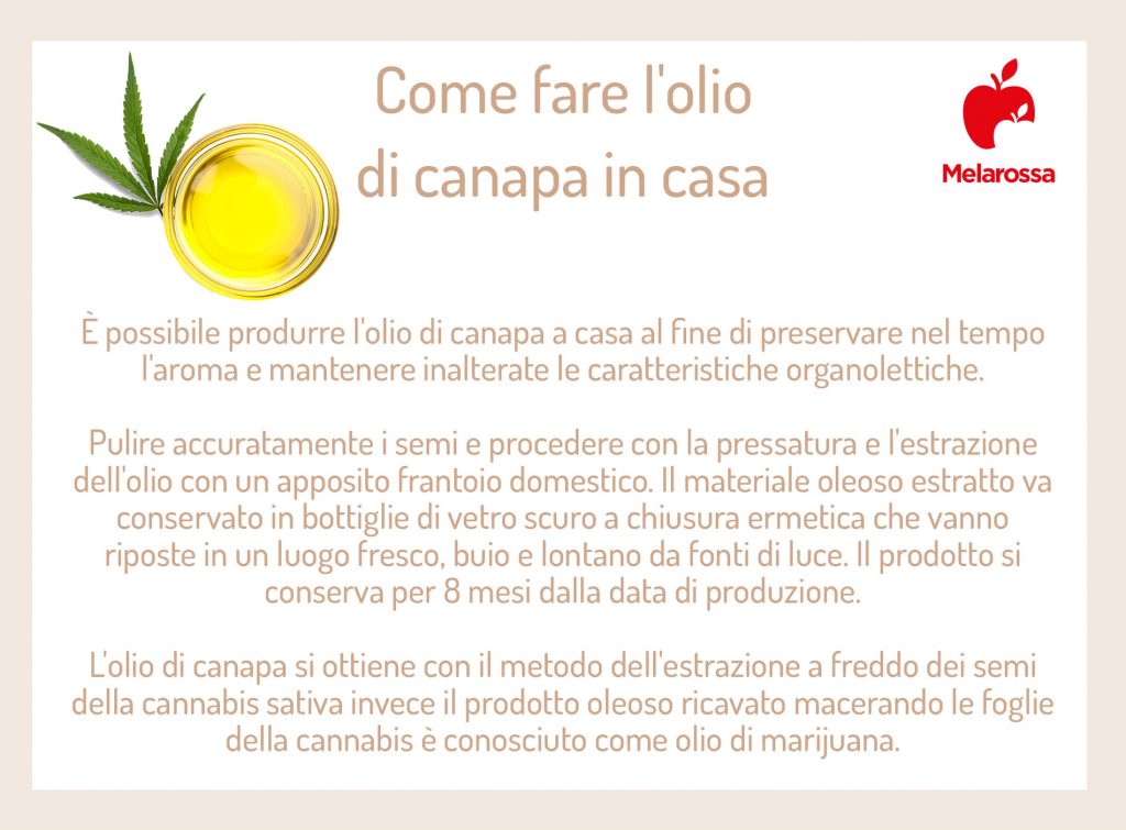 Olio di canapa: che cos'è, benefici, usi e controindicazioni