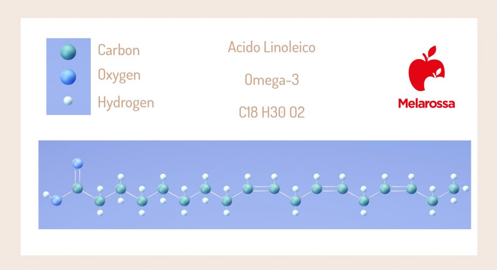 Olio di semi di lino: che cos'è, benefici, usi e controindicazioni
