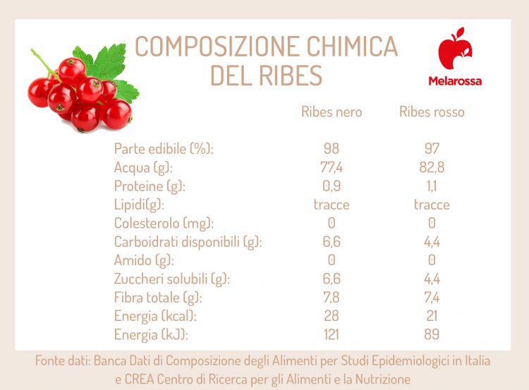 Ribes: proprietà e i benefici dei ribes per la tua salute - Melarossa