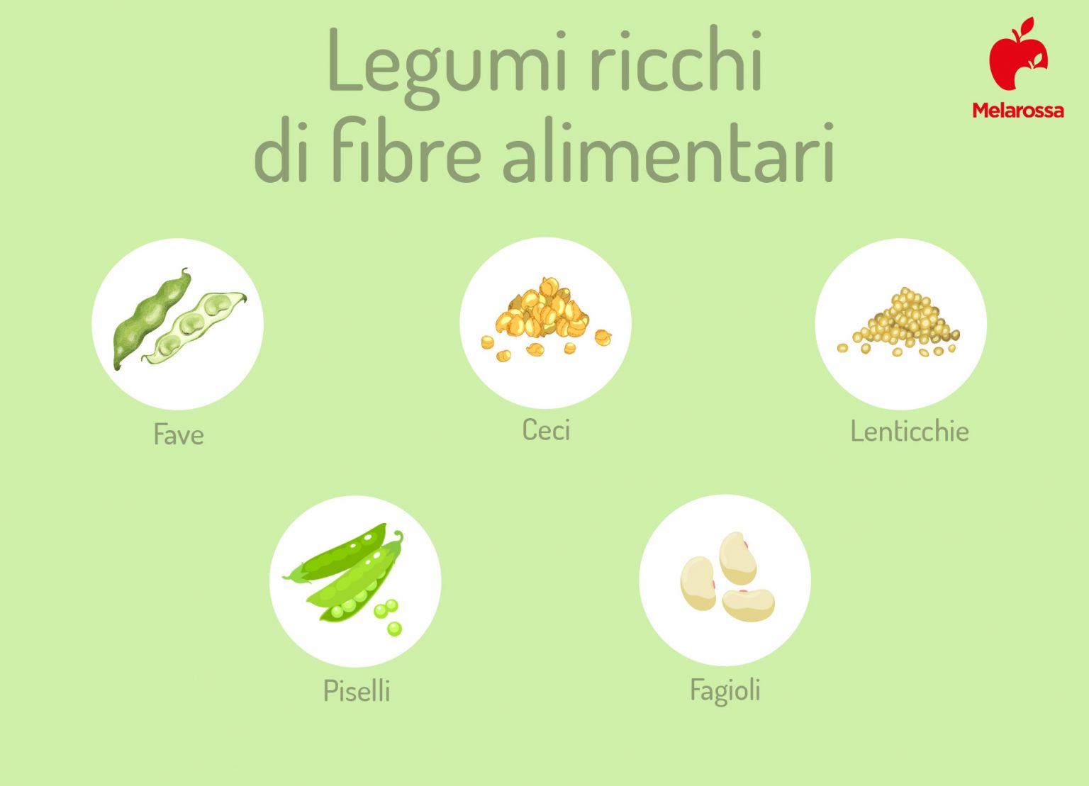 Fibre alimentari: cosa sono, dove si trovano e a cosa servono - Melarossa