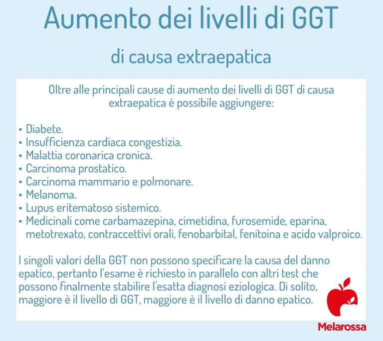 Gamma GT: che cos'è, come si misura, valori normali, valori alti
