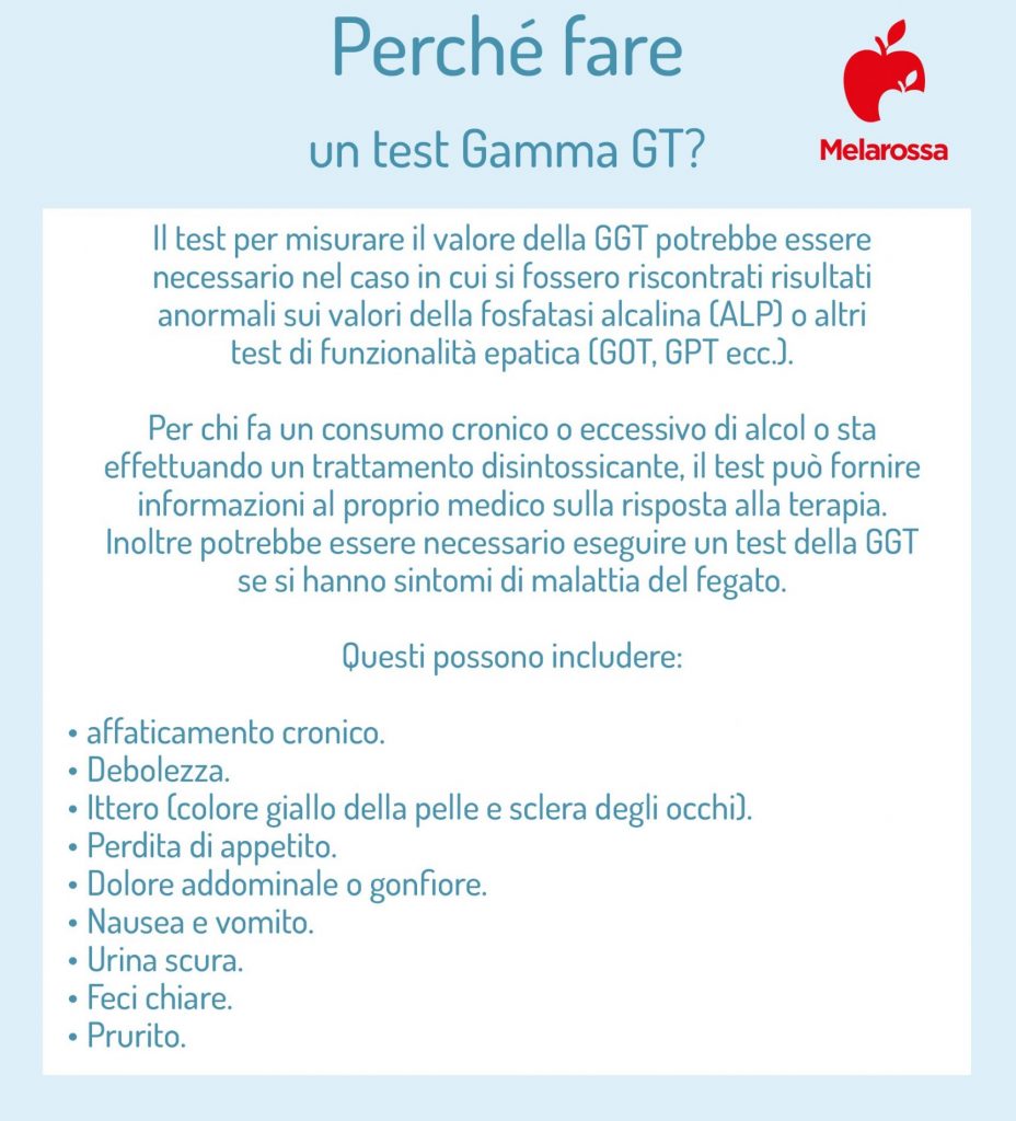 Gamma GT: che cos'è, come si misura, valori normali, valori alti