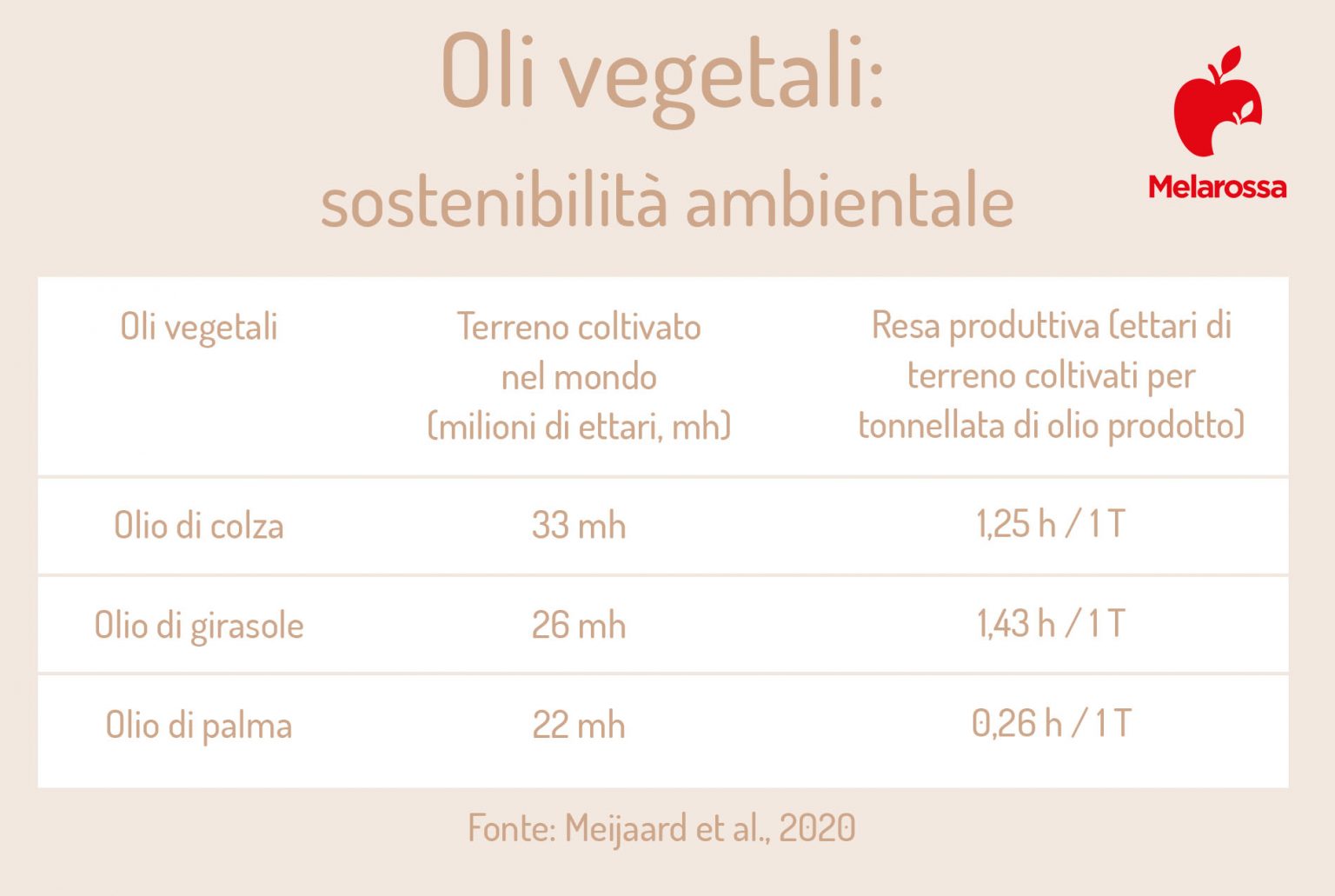 Olio di colza: cosa contiene, uso alimentare, benefici, fa male?