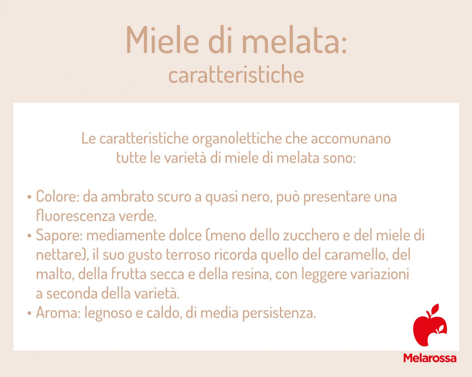Miele di melata: che cos'è, proprietà e valori nutrizionali, benefici