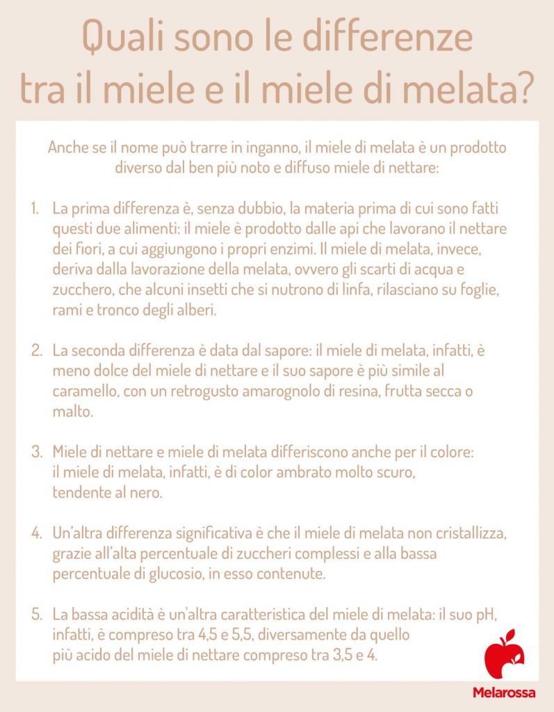 Miele di melata: che cos'è, proprietà e valori nutrizionali, benefici