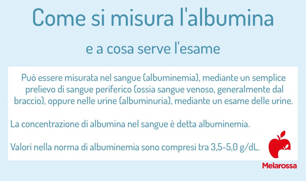 Albumina: che cos'è, valori, come leggere i risultati, cure