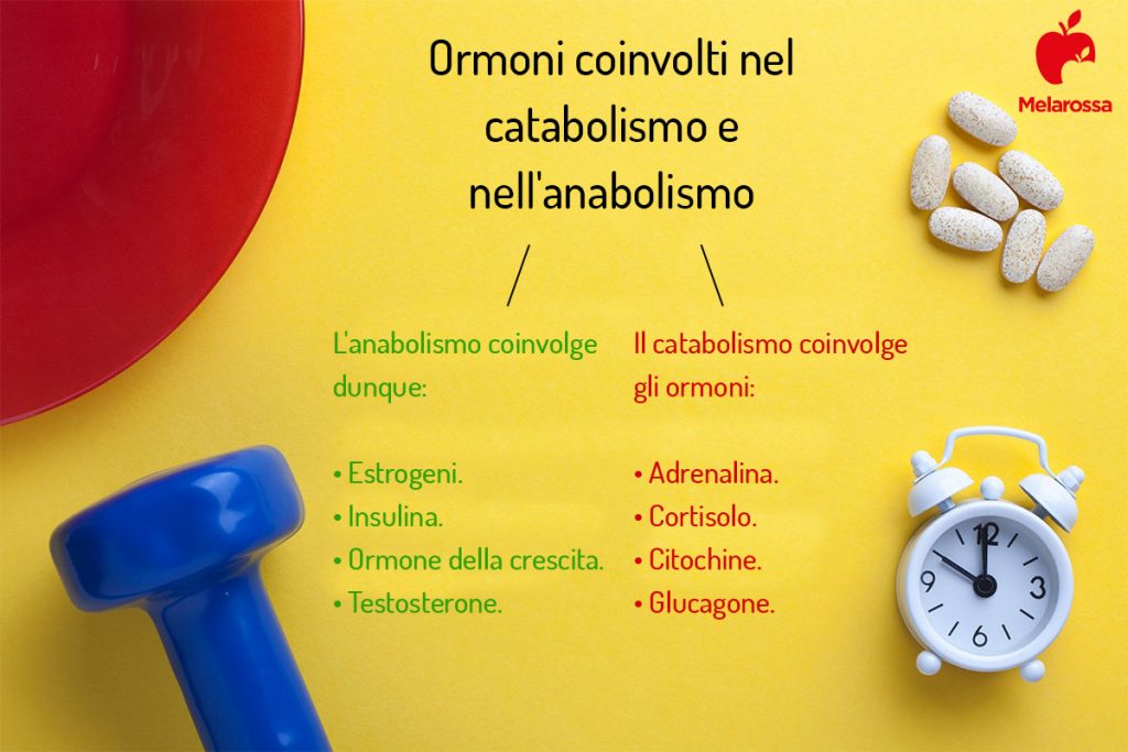 Catabolismo muscolare: che cos'è, significato, sintomi e rimedi
