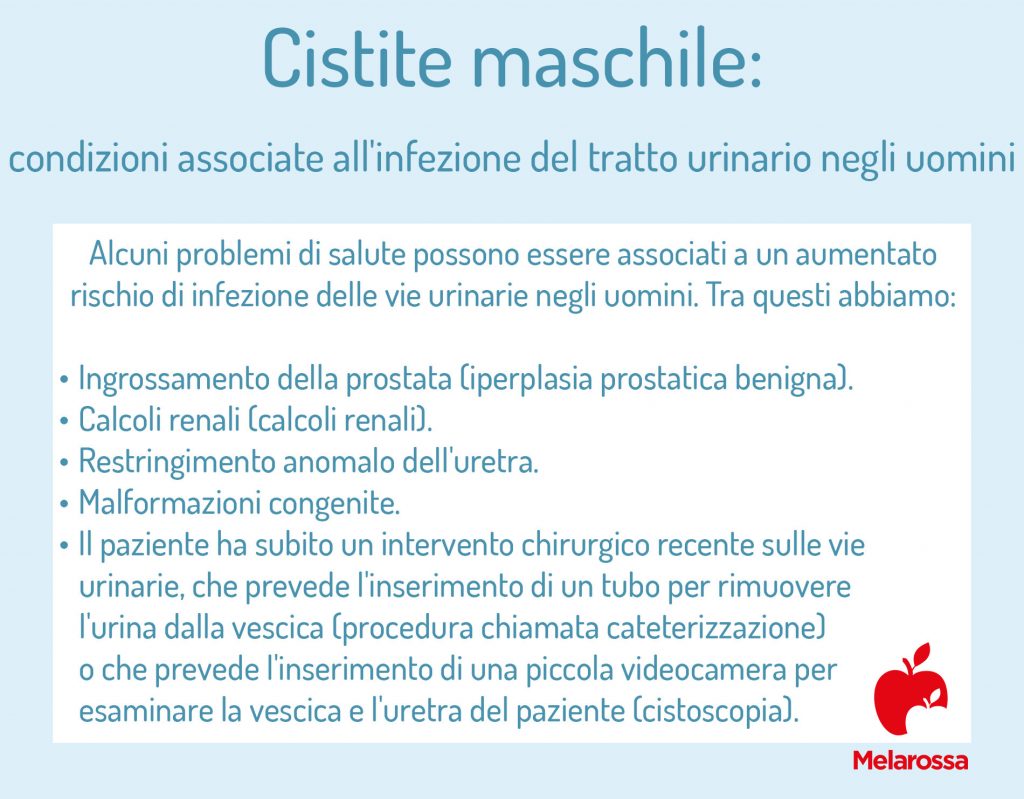 Cistite maschile: che cos'è, cause e sintomi, diagnosi e cure