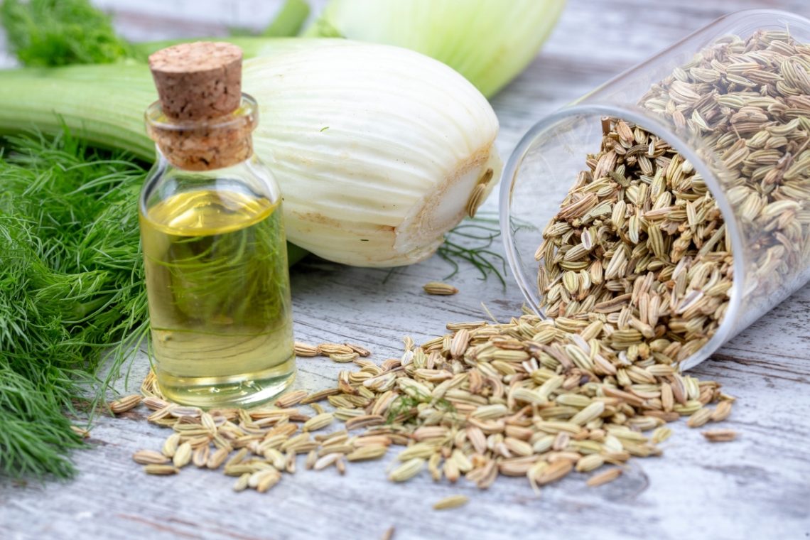 Finocchio: benefici, proprietà e usi in cucina - Melarossa