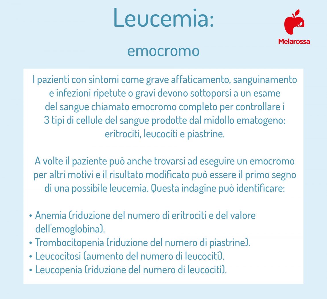 Leucemia: che cos'è, sintomi, cause, diagnosi e cure