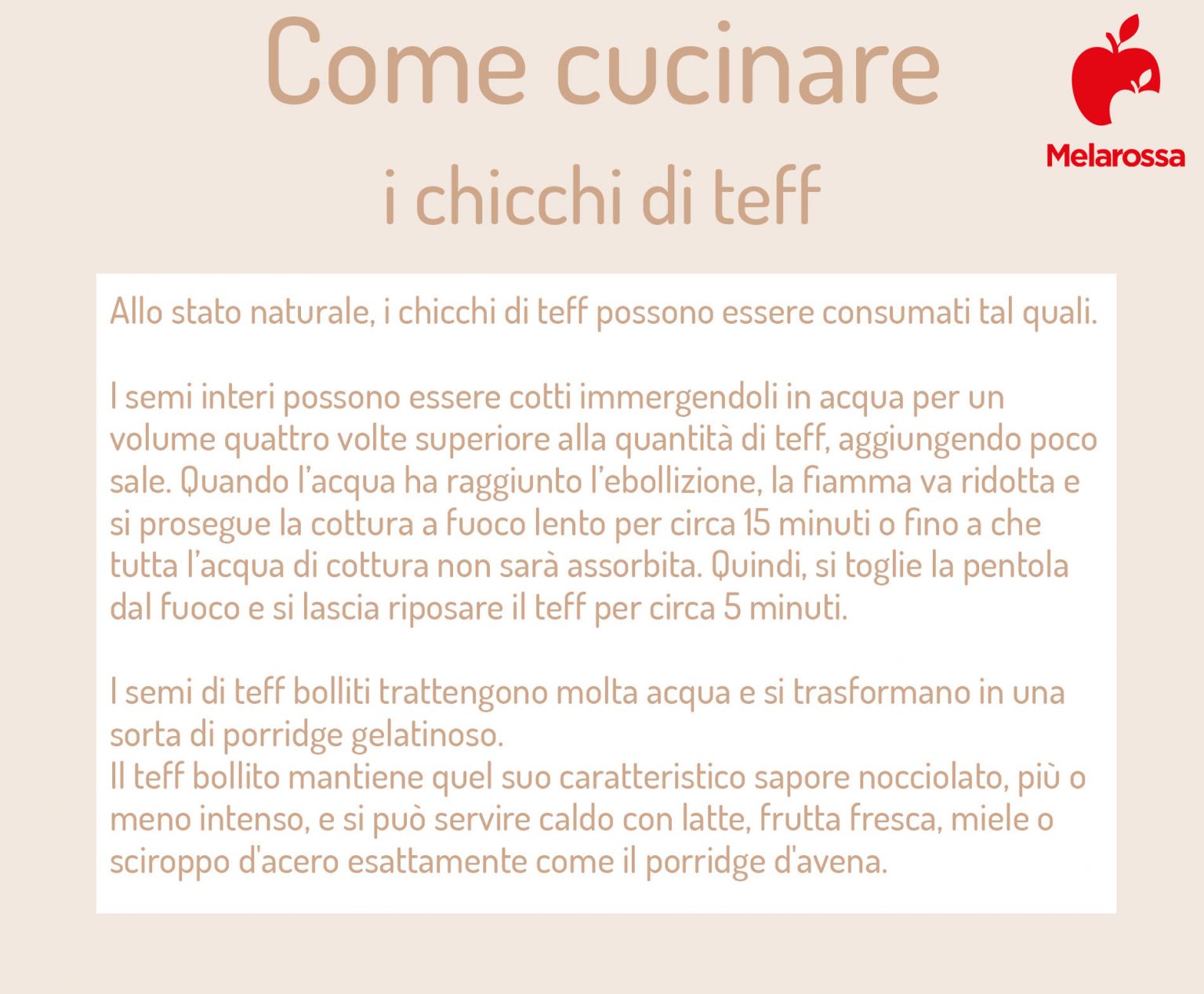 Teff: che cos'è, proprietà, benefici, usi, ricette e controindicazioni