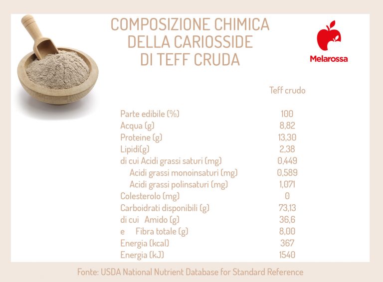 Teff: proprietà, usi in cucina e benefici