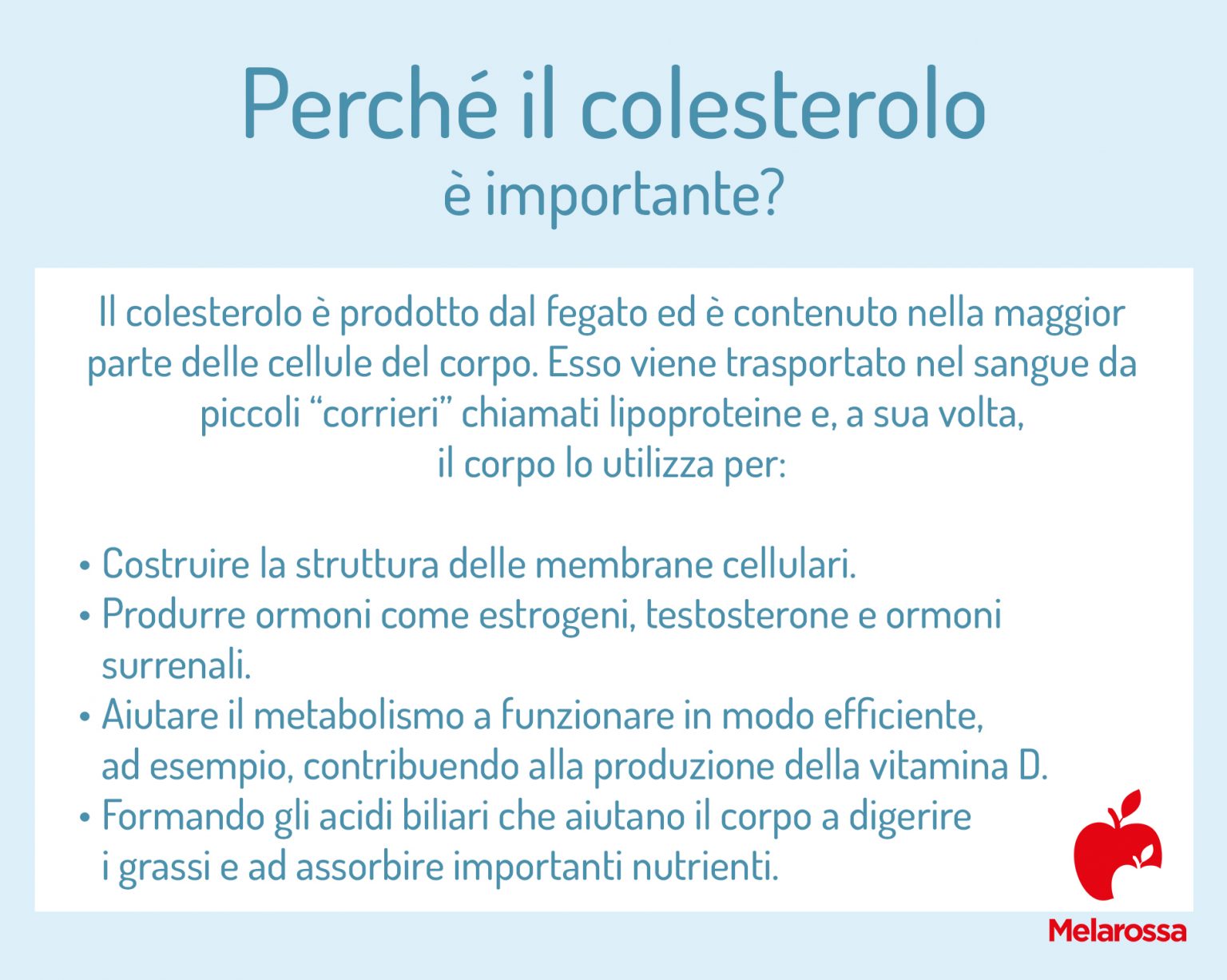 Colesterolo basso: cause, sintomi e rischi dell'ipocolesterolemia