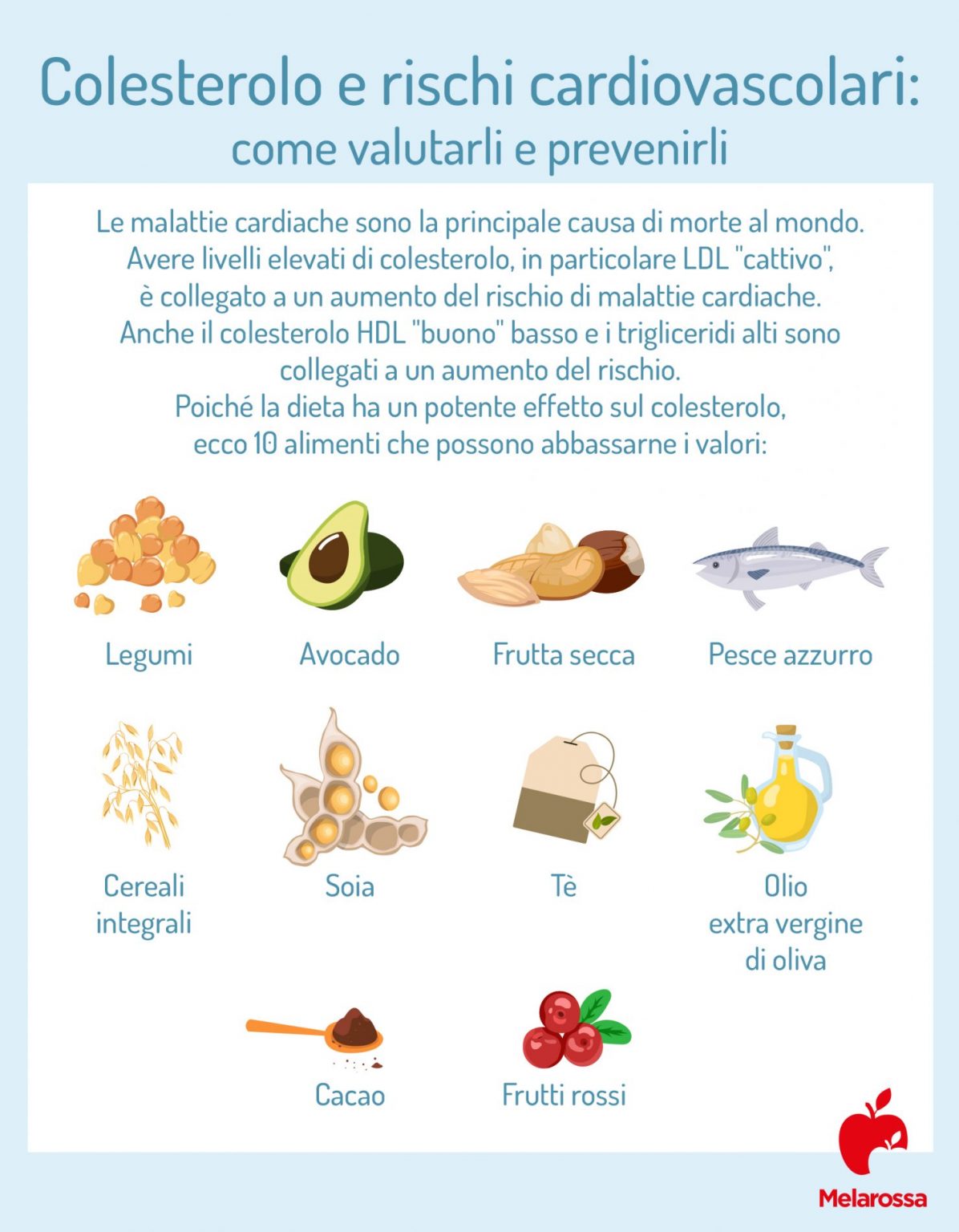 Colesterolo totale: cos'è, valori normali e cosa fare se alto o basso