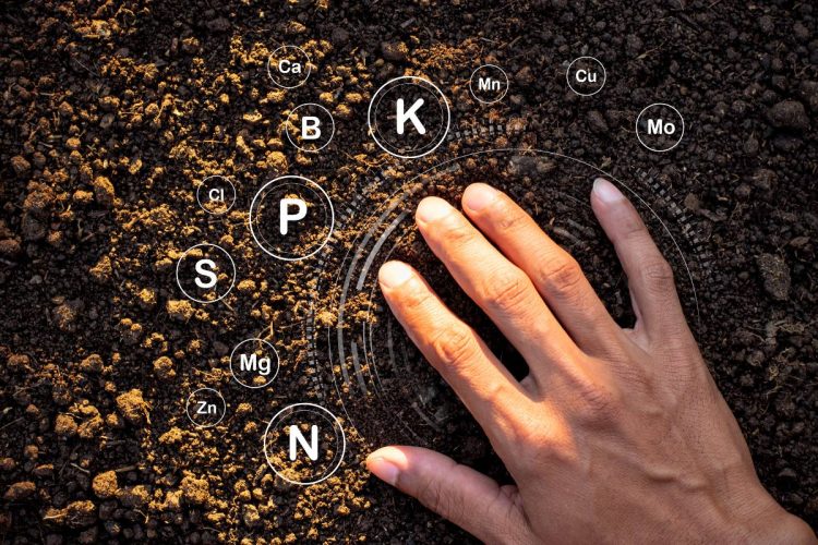 Boro: cos'è, a cosa serve e dove si trova - Melarossa