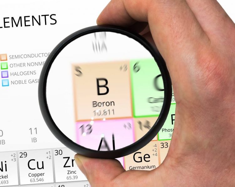 Boro: cos'è, a cosa serve e dove si trova - Melarossa