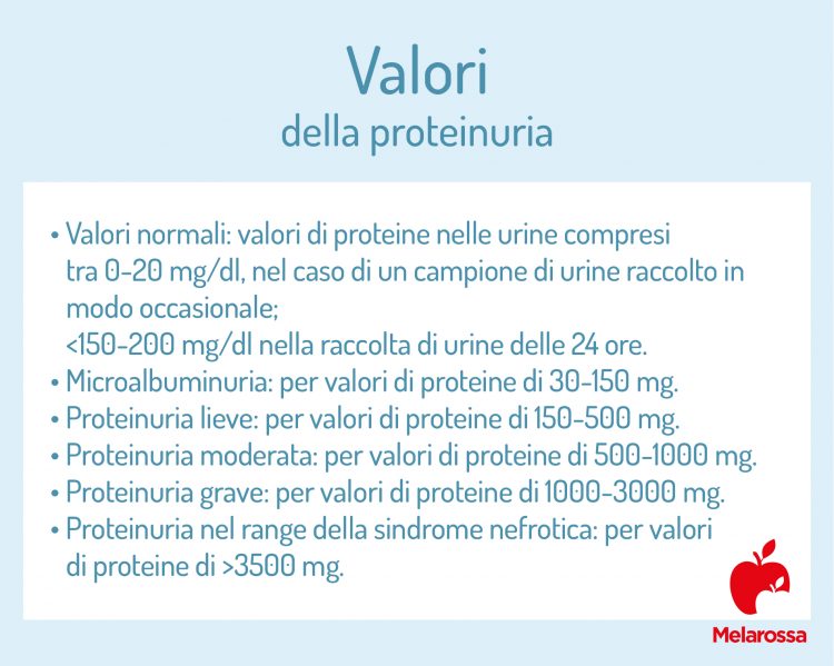 Proteine nelle urine (proteinuria), cosa sono, esame e valori