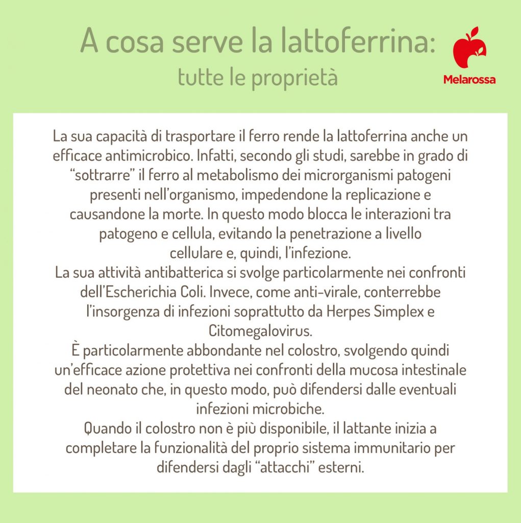Lattoferrina: che cos'è, a cosa serve, benefici, migliori integratori