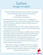 Canfora: che cos'è, proprietà, benefici, usi e controindicazioni