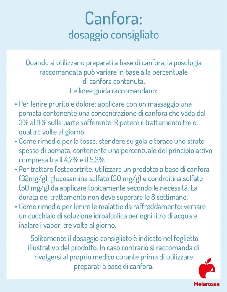 Canfora: che cos'è, proprietà, benefici, usi e controindicazioni