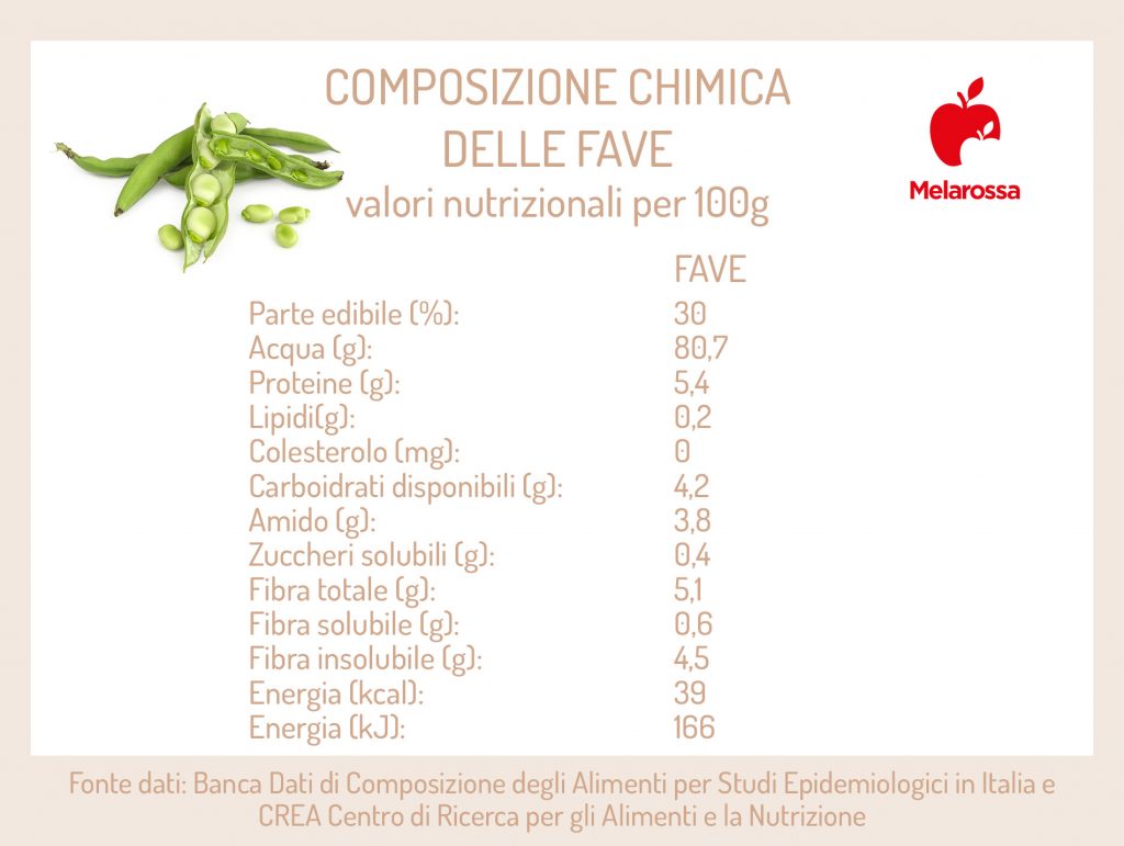 Fave: proprietà, benefici, utilizzi in cucina - Melarossa