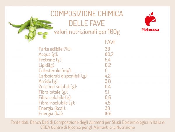 Fave: proprietà, benefici, utilizzi in cucina - Melarossa