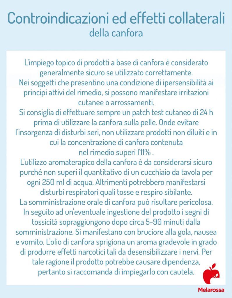 Canfora: che cos'è, proprietà, benefici, usi e controindicazioni