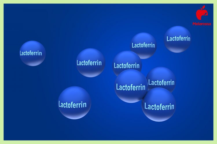 Lattoferrina: che cos'è, a cosa serve, benefici, migliori integratori