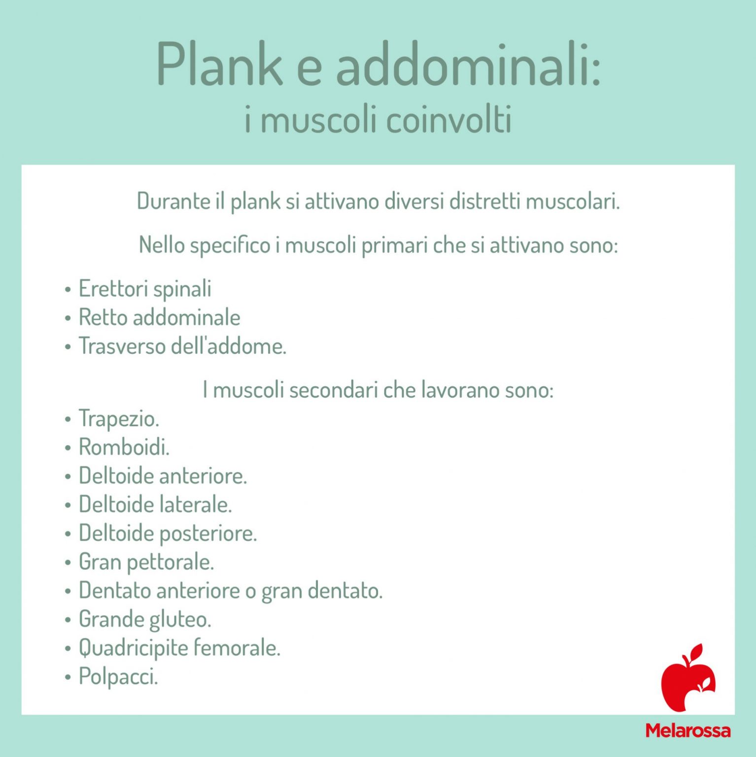 Plank: che cos'è, muscoli coinvolti, varianti e benefici