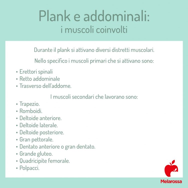Plank: che cos'è, muscoli coinvolti, varianti e benefici