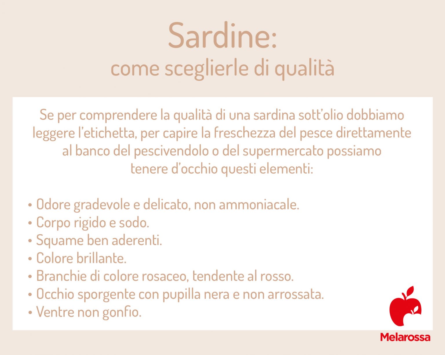 Sardine: proprietà e valori nutrizionali, benefici e le migliori ricette