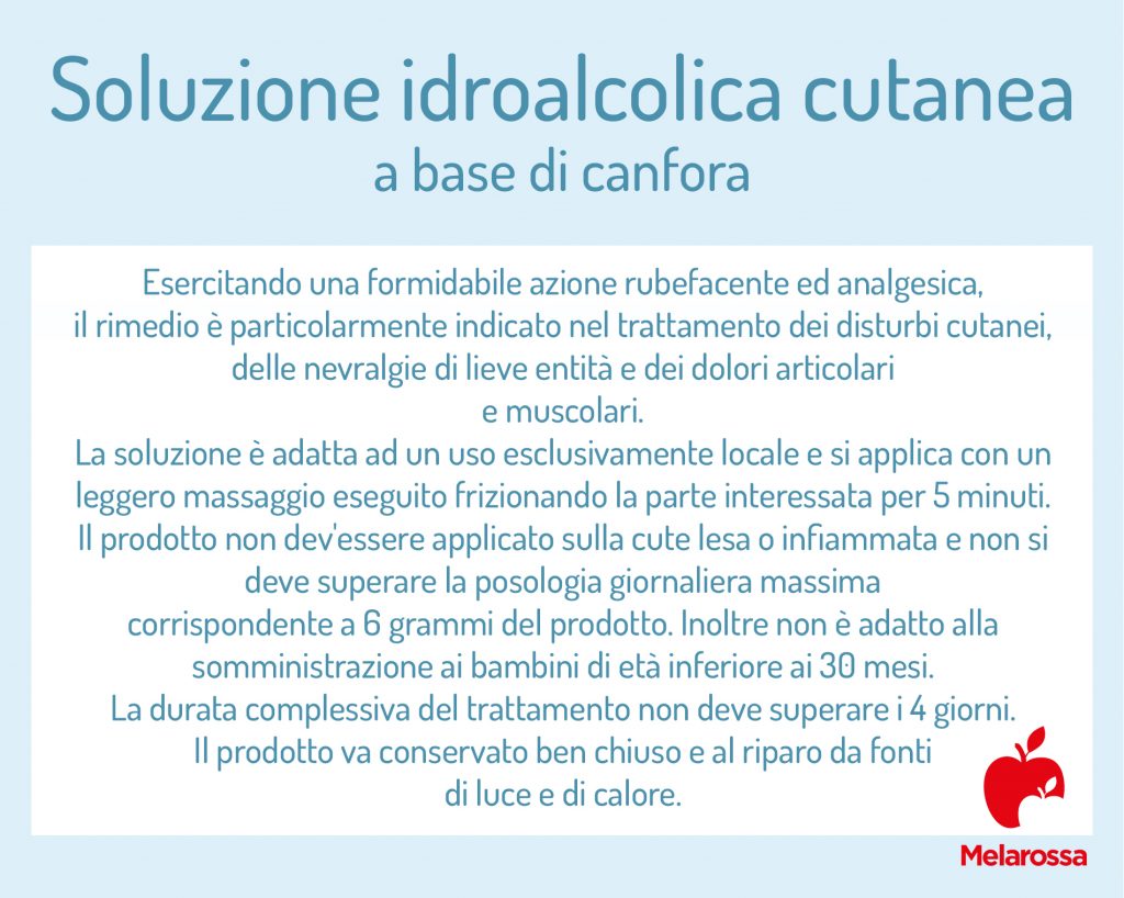 Canfora: che cos'è, proprietà, benefici, usi e controindicazioni
