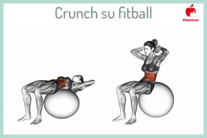 Anatomia addome: i muscoli, la loro funzione e come allenarli