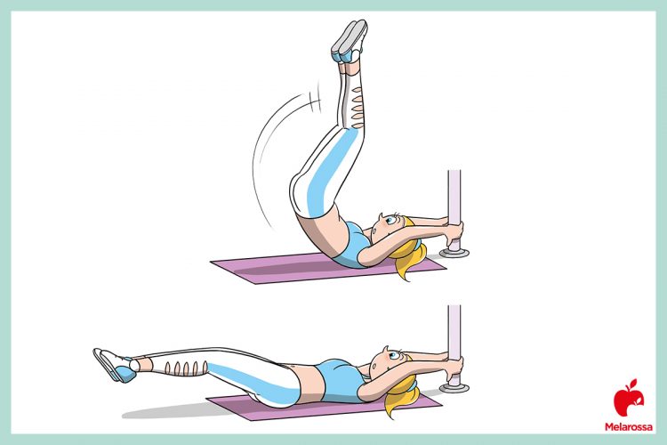 Anatomia addome: i muscoli, la loro funzione e come allenarli