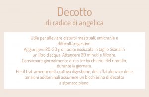 Angelica: che cos'è, proprietà, usi, benefici e controindicazioni