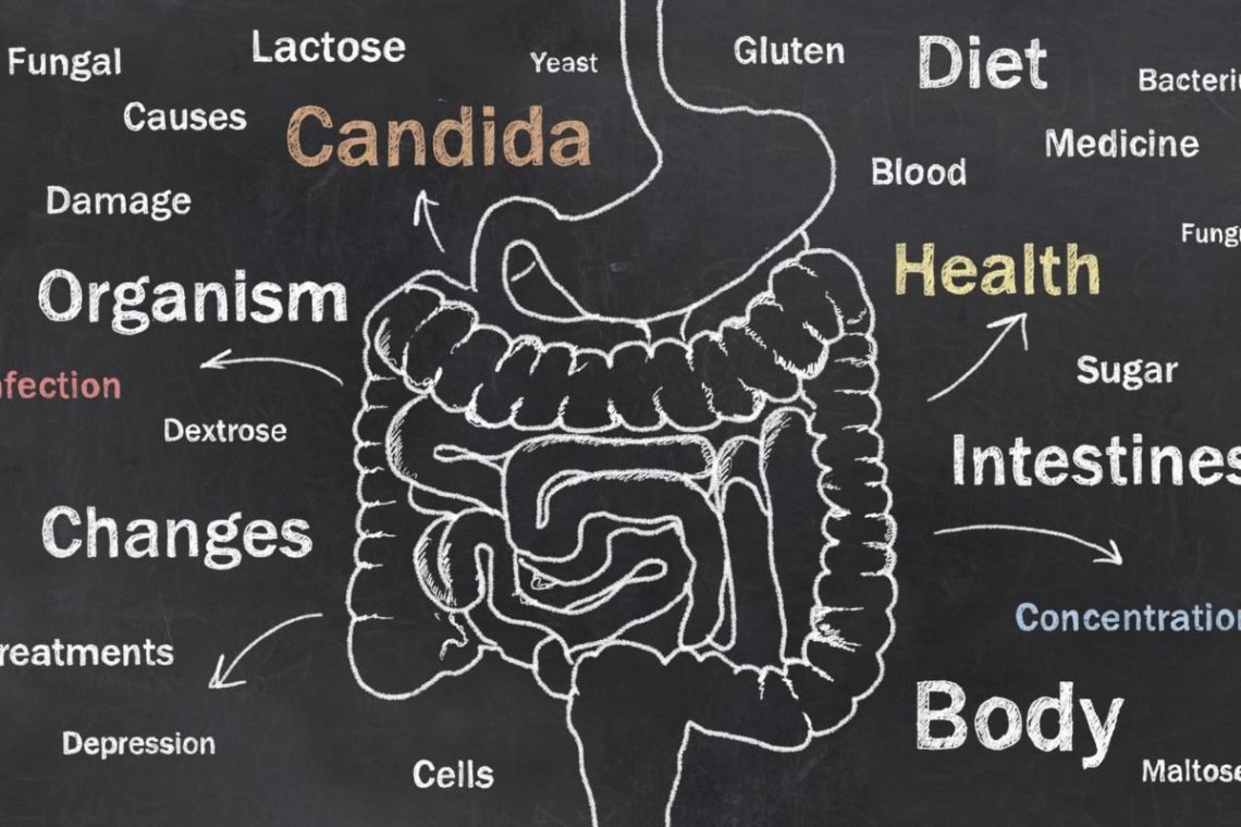 Candida: cos'è, tipologie, cause, sintomi, cure e prevenzione