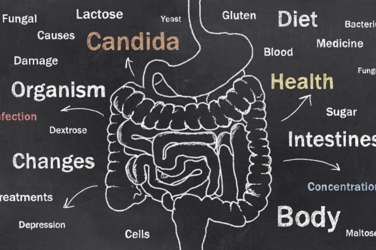 Candida: cos'è, tipologie, cause, sintomi, cure e prevenzione
