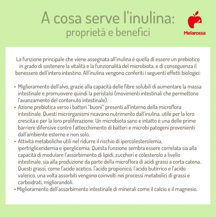 Inulina: che cos'è, a cosa serve, alimenti ricchi, benefici