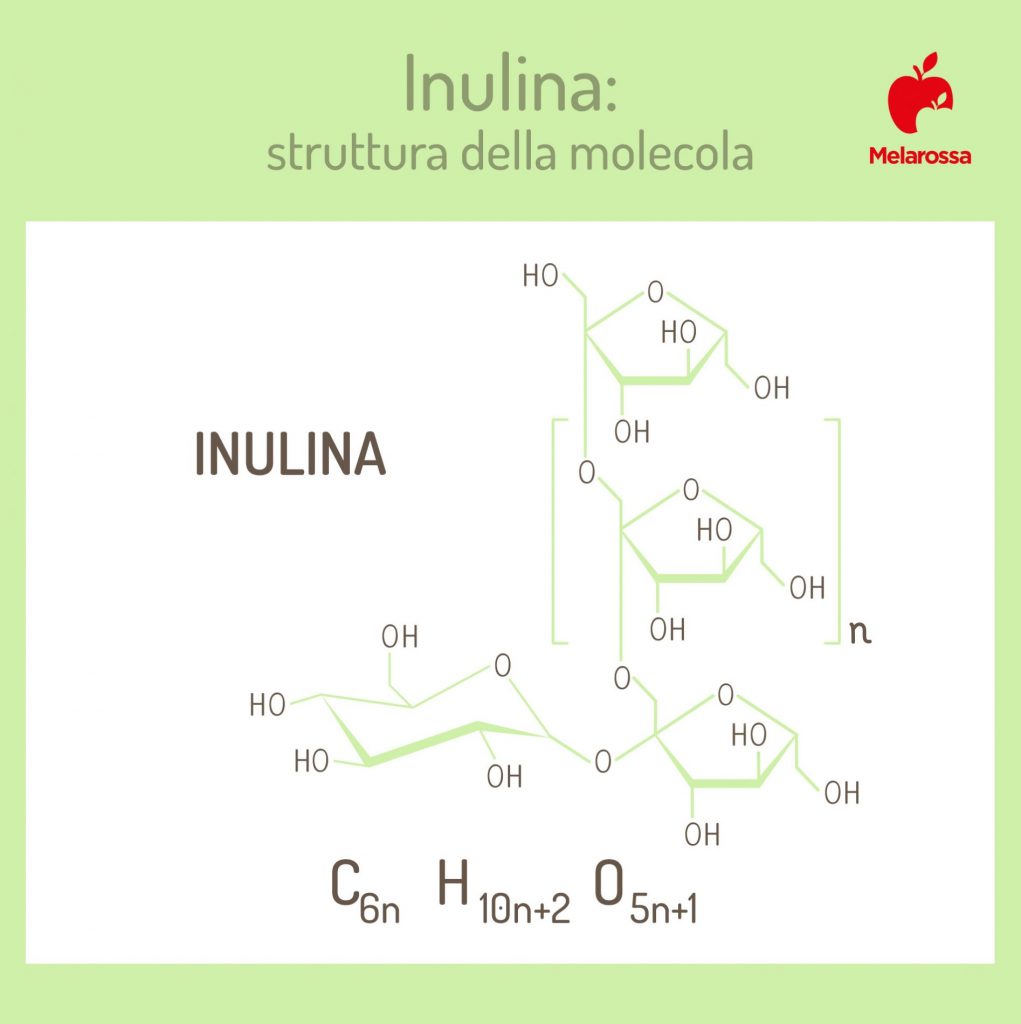 Inulina: che cos'è, a cosa serve, alimenti ricchi, benefici