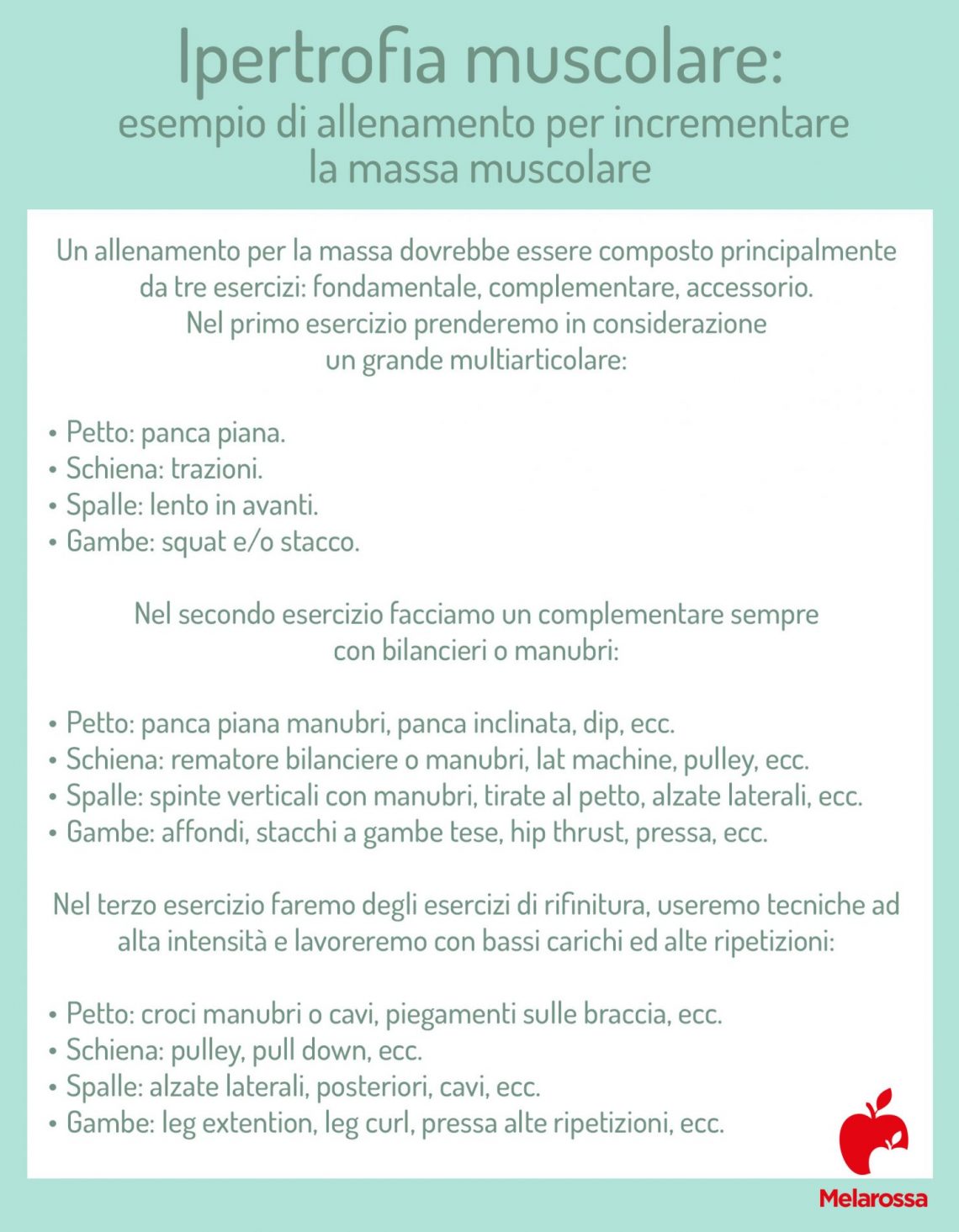 Ipertrofia muscolare: come aumentare la massa muscolare