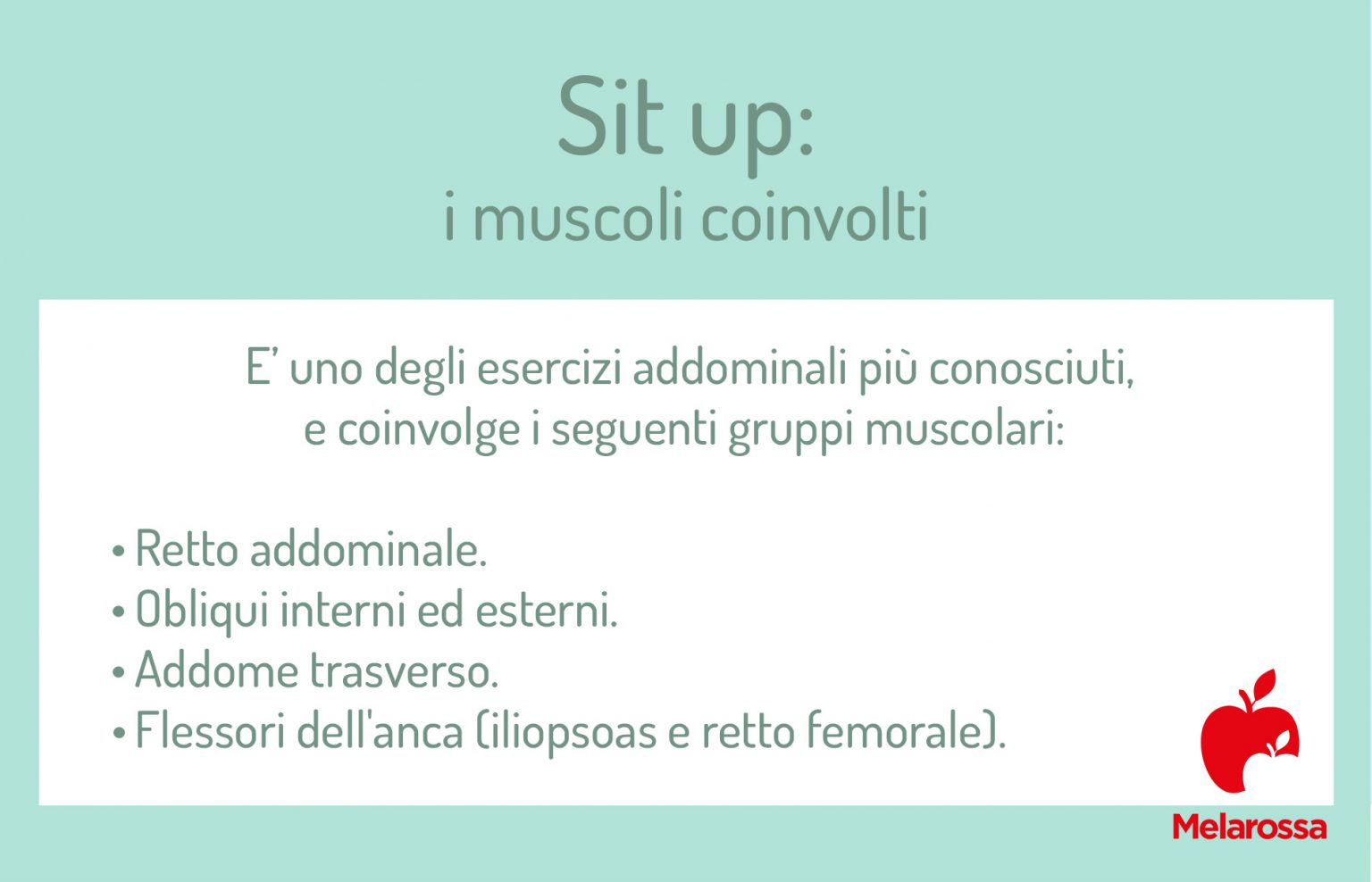 Sit up: che cos'è, muscoli coinvolti, benefici